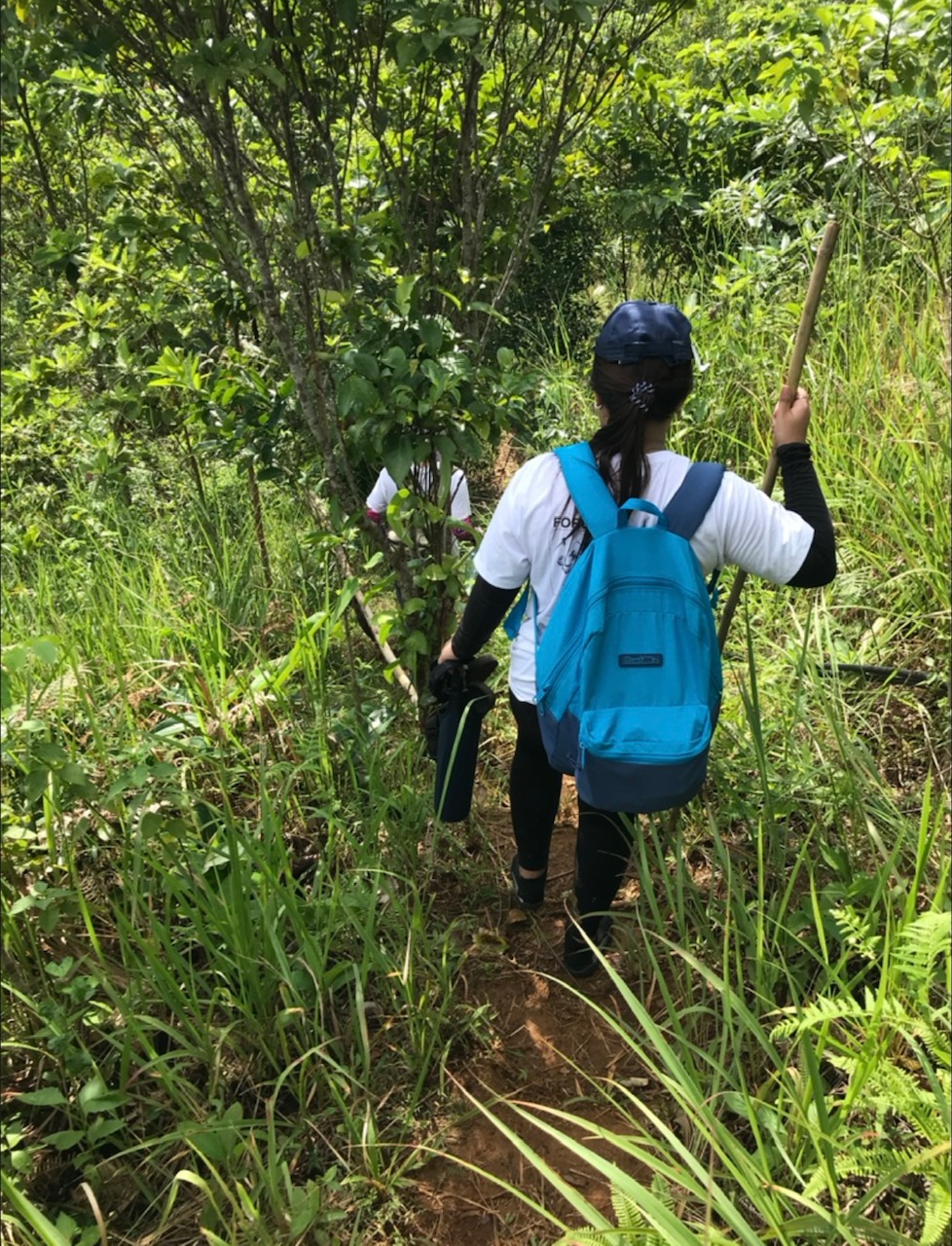 How do you become an active steward of nature? – Voiijer